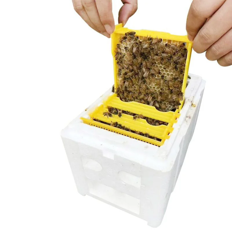 Beekeeping Queen Breeding Queen Rearing Nucs Harvest Bee Hive For Bee ...