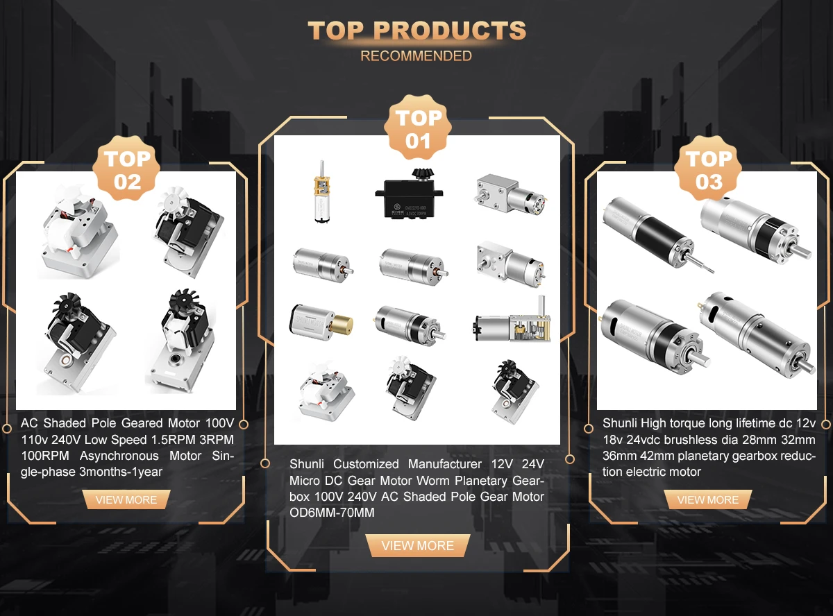 Shenzhen Shunli Motor Co., Ltd. - Micro DC Gear Motor; Micro Planetary ...