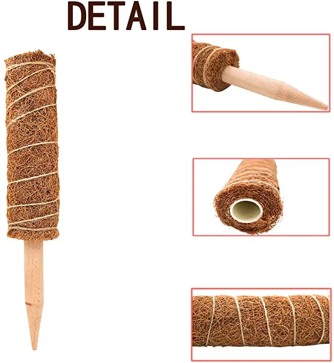 Extendable Climbing Plant Coir - Support for Indoor Creepers