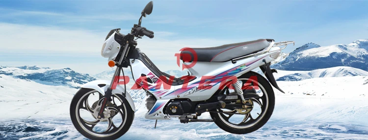 2019 Forza Max Motorcycle - 110cc, 85km/h, Brushless Motor
