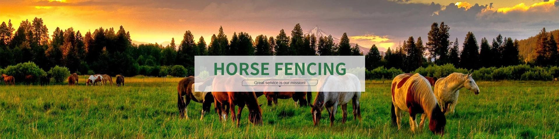 Company Overview - Shanghai Longjie Plastics Co., Ltd.