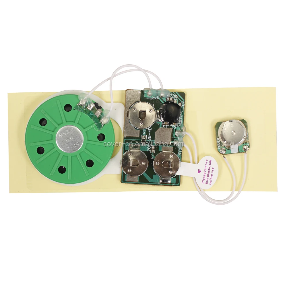 Custom Downloadable Audio Pre-recorded Messages Voice Program Usb ...