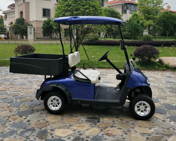 2 Seats Utility Golf Cart with Cargo Box - 700 Charge Cycles