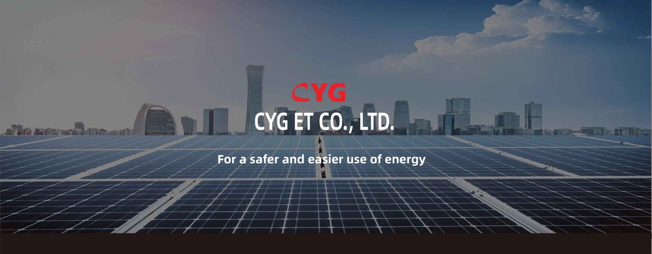 Company Overview - CYG ET CO., LTD.