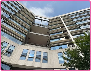 Chengdu Springboard Education Technology Co., Ltd. - stationery, art pieces