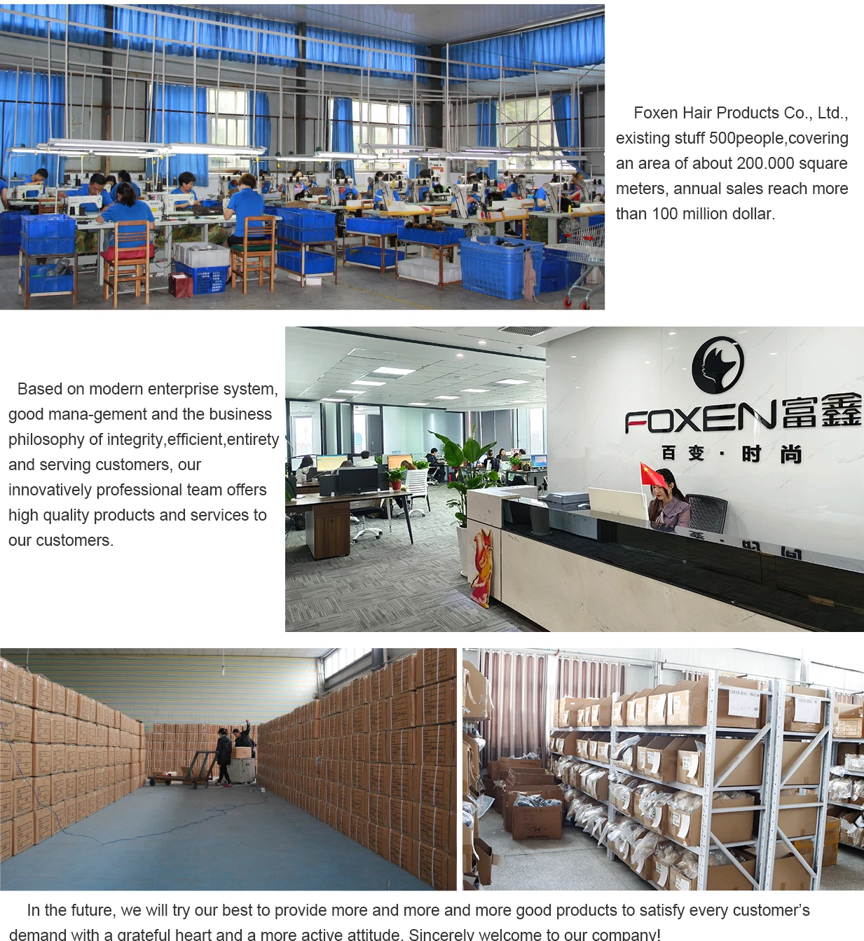 Xuchang Fuxin Hair Products Co., Ltd.