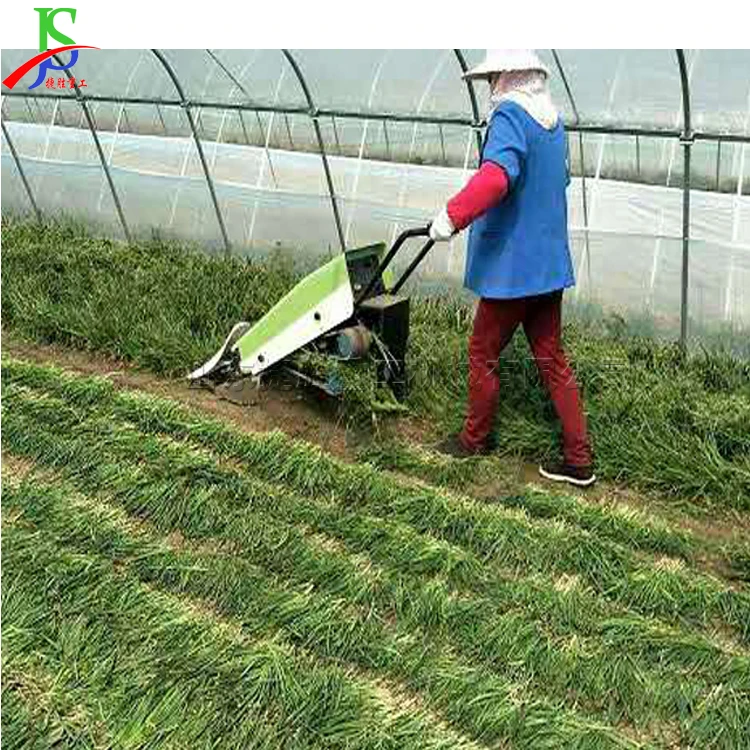 Electric Self Propelled Small Leek Harvester One People Operation ...
