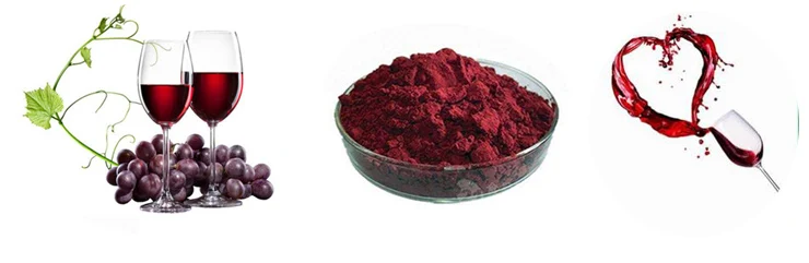 Grape Skin Extract Powder - Red Wine Polyphenols 30%