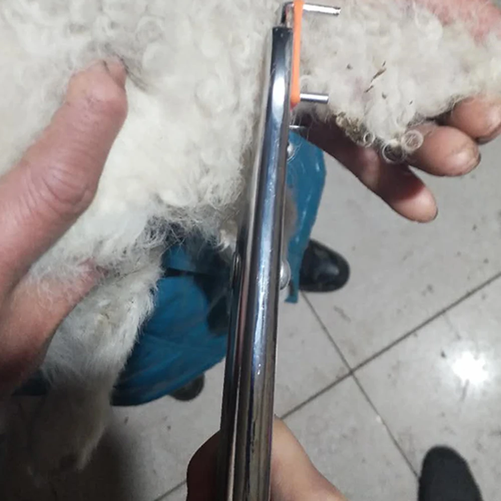 Elasticity Castration Rubber Rings for Sheep & Goats - Durable Oxford ...