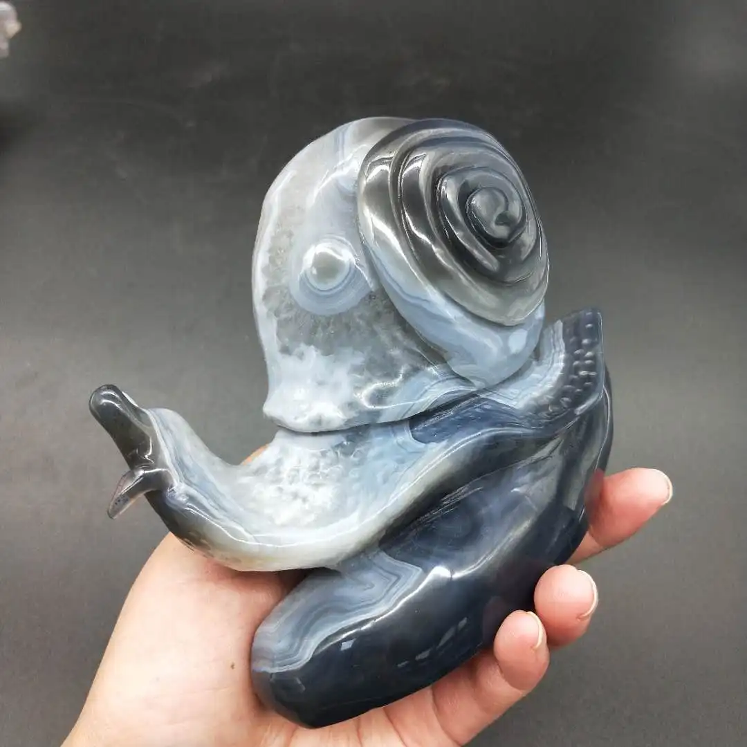 Nature Crystal Gemstone Agate Geode Carved Snail Shell Polished ...