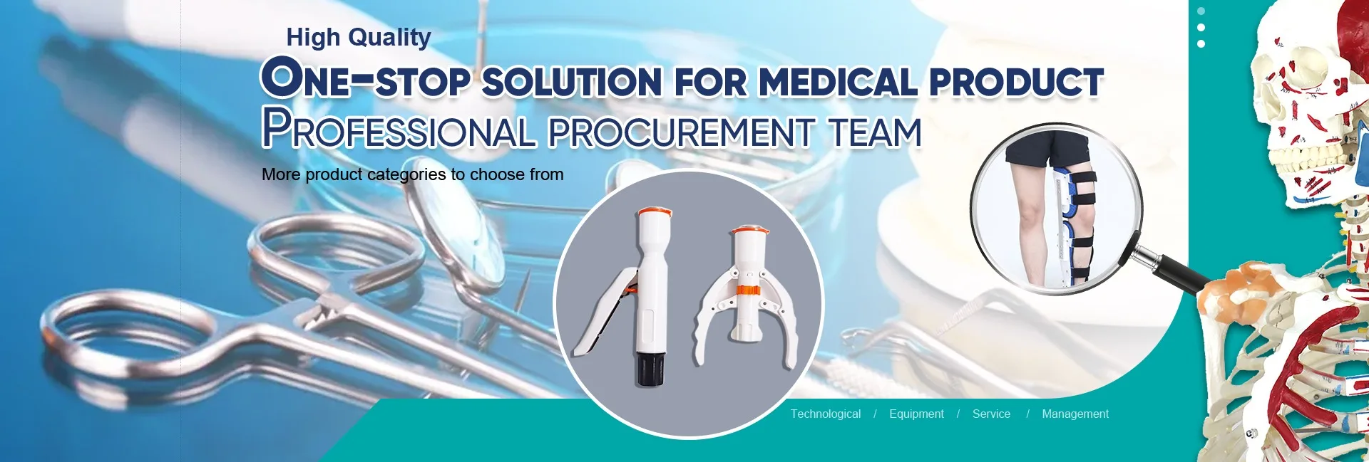 Suzhou Ortho Care Medical Tech Co., Ltd. - human anatomical model ...