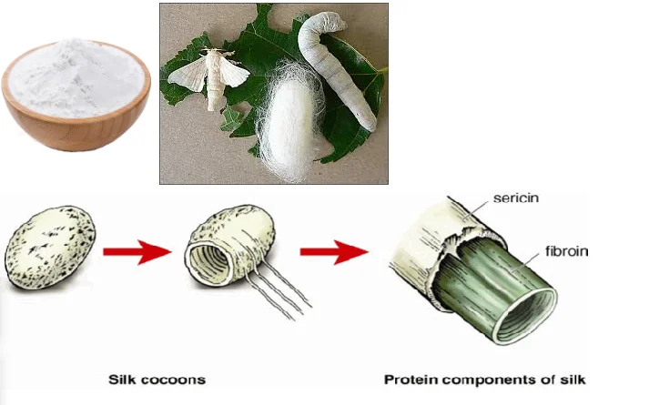 Top Quality Cosmetics Grade Silk Extract Silk Fibroin / Sericin Protein ...