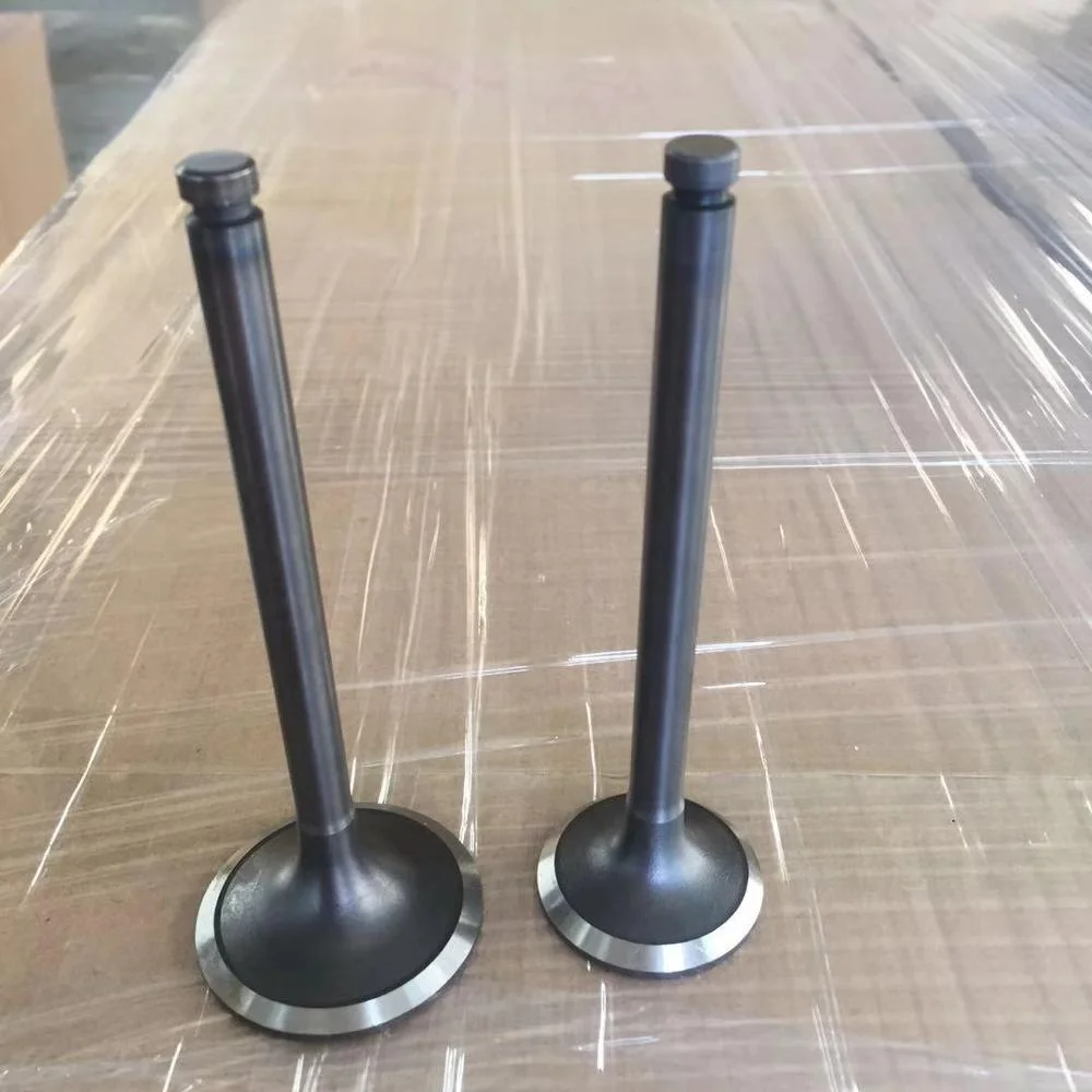 Engine Valve for Nissan FE6 12V - Intake & Exhaust Valve, Quality ...