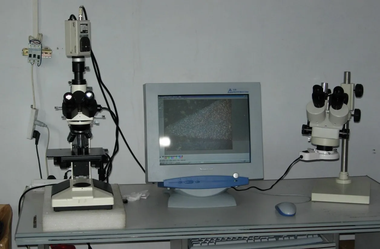 High Quality Specific Card Clothing for Textile Machines