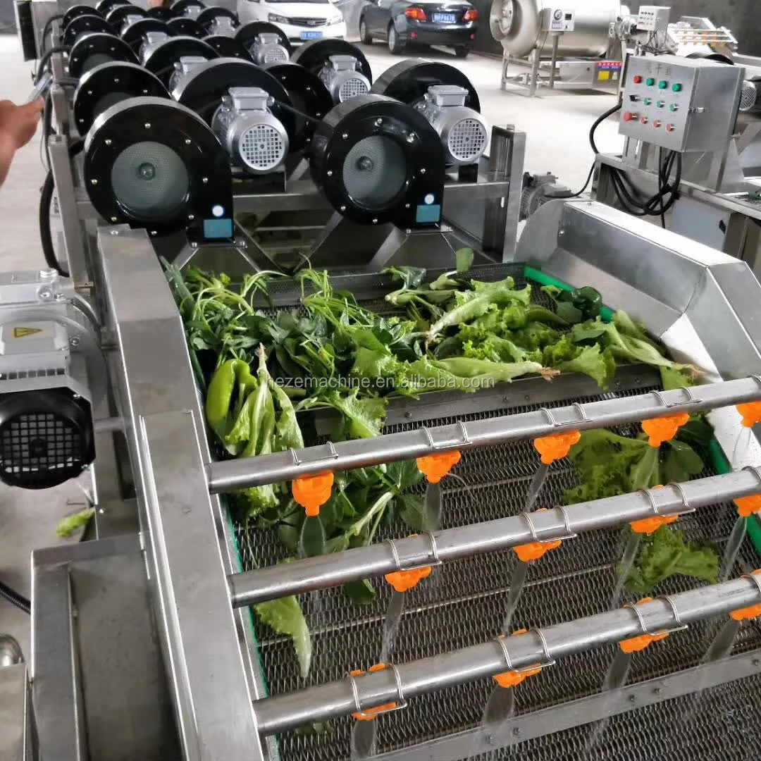 Commercial Continuous Water Spray Spinach Vegetable Ozone Bubble ...