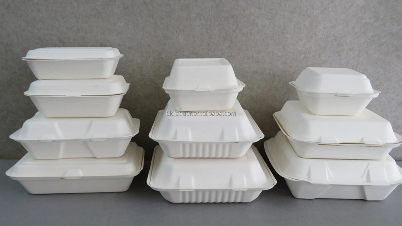 Disposable Bagasse 9x9x3 Inch Food Container Box - Buy 9 Inch Food ...
