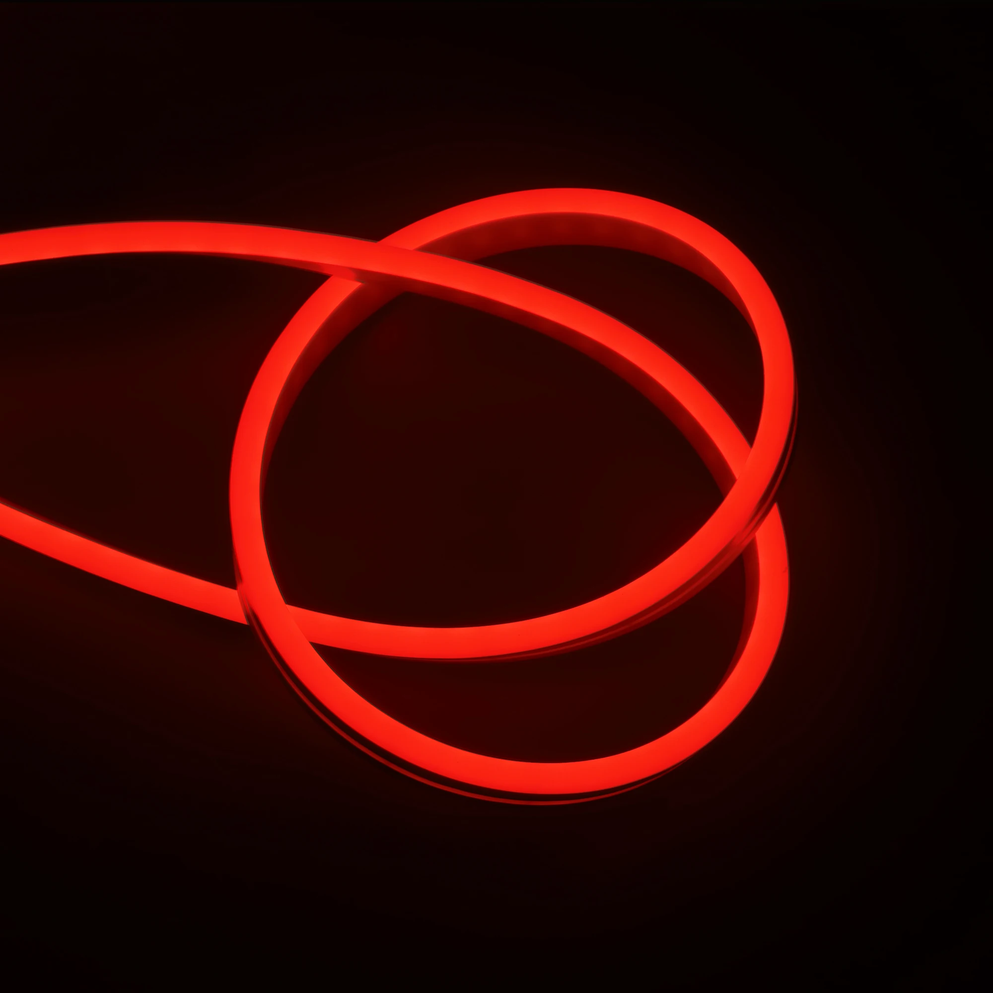 Waterproof Soft Neon Light Diy Neon Sign Lights Led Strip Flexible Neon ...