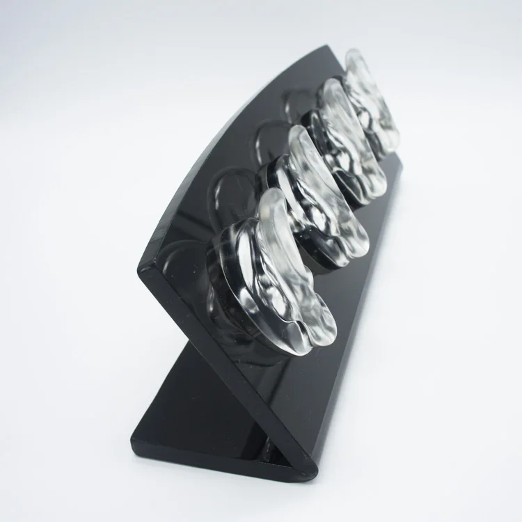 Acrylic Hearing Aid Display - Educate with Silicone Models