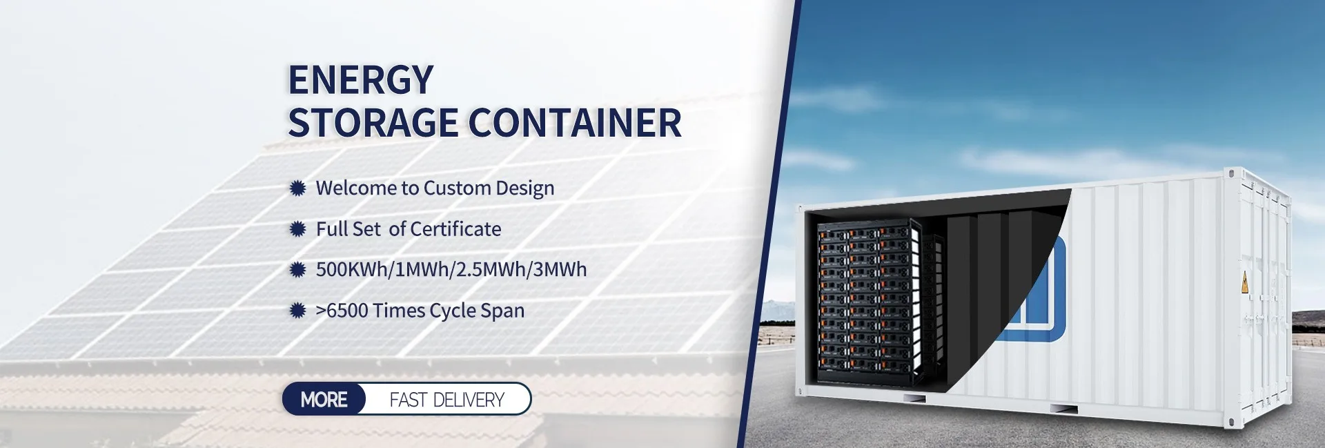 Huizhou Wofeisi Biometrics Technology Co., Ltd. - Energy Storage System ...