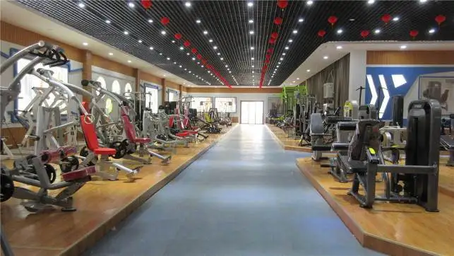 New Arrival Exercise Chest Press DFT-N06 Commercial Body Building ...