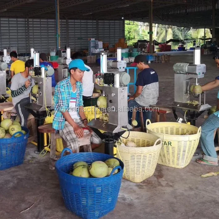 Automatic Coconut Peeling Machine - Efficient & Durable
