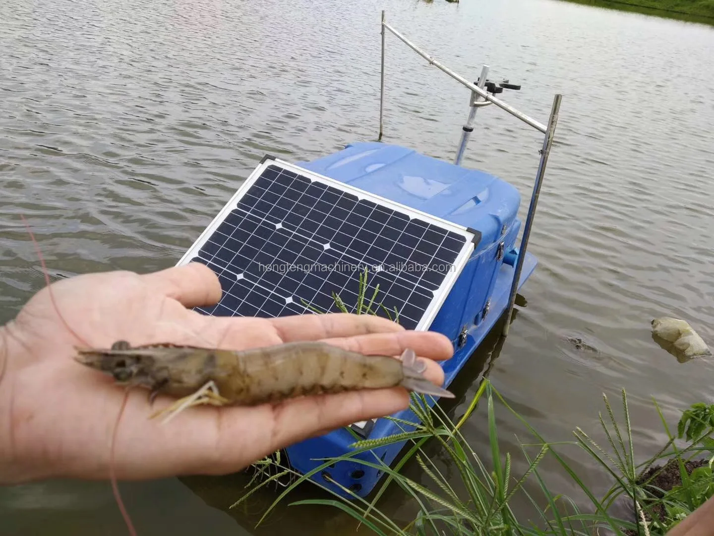 Automatic Solar Fish Feeder with Adjustable Range & 1-Year Warranty ...