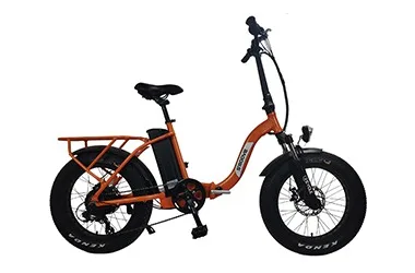 Tianjin Senxiang Bike Co., Ltd. - Bicycle, Electric Bicycle