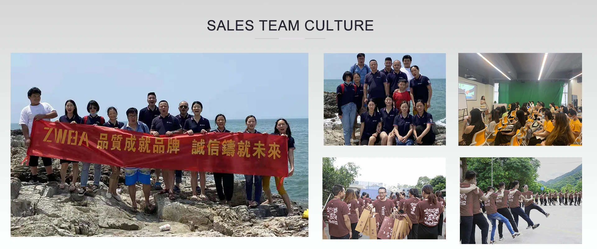 Shenzhen Zhiwei Technology Co., Ltd. - LED Monitor, Touch Monitor