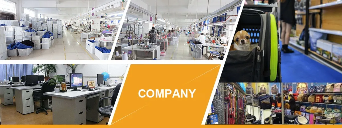 Company Overview - Shenzhen MZ Technology Co., Ltd.