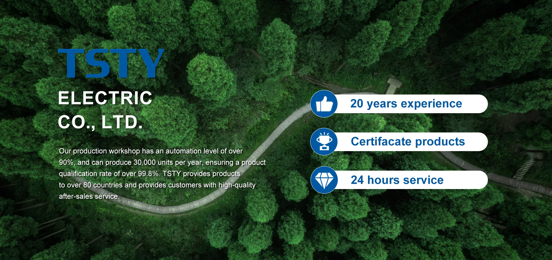 Company Overview - Tsty Electric Co., Ltd.