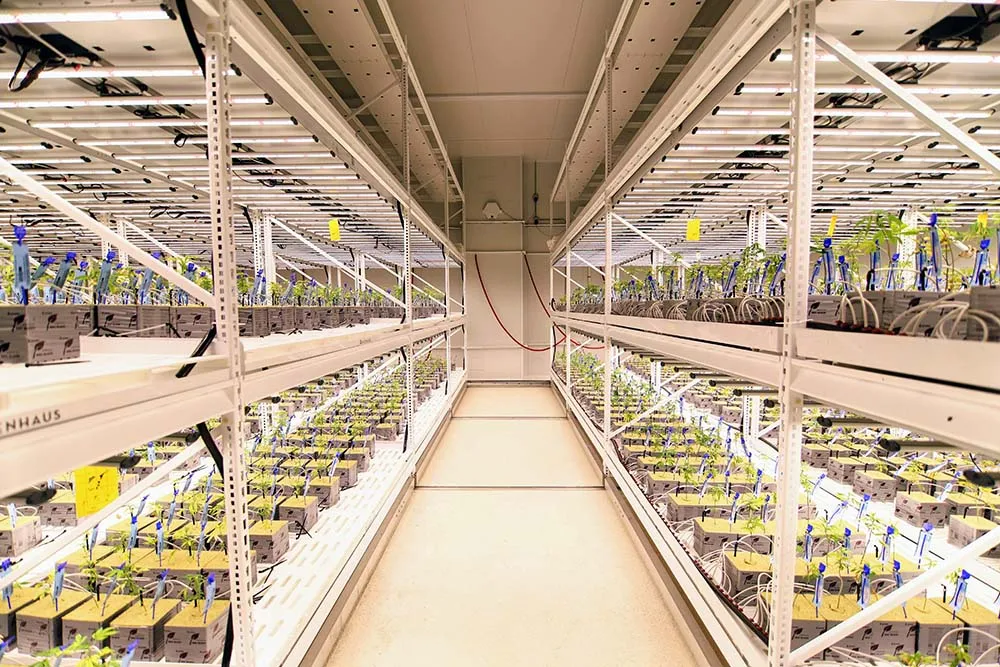 4x8 Feet Movable Vertical Farming Rack Hydroponics Indoor Growing Plant ...