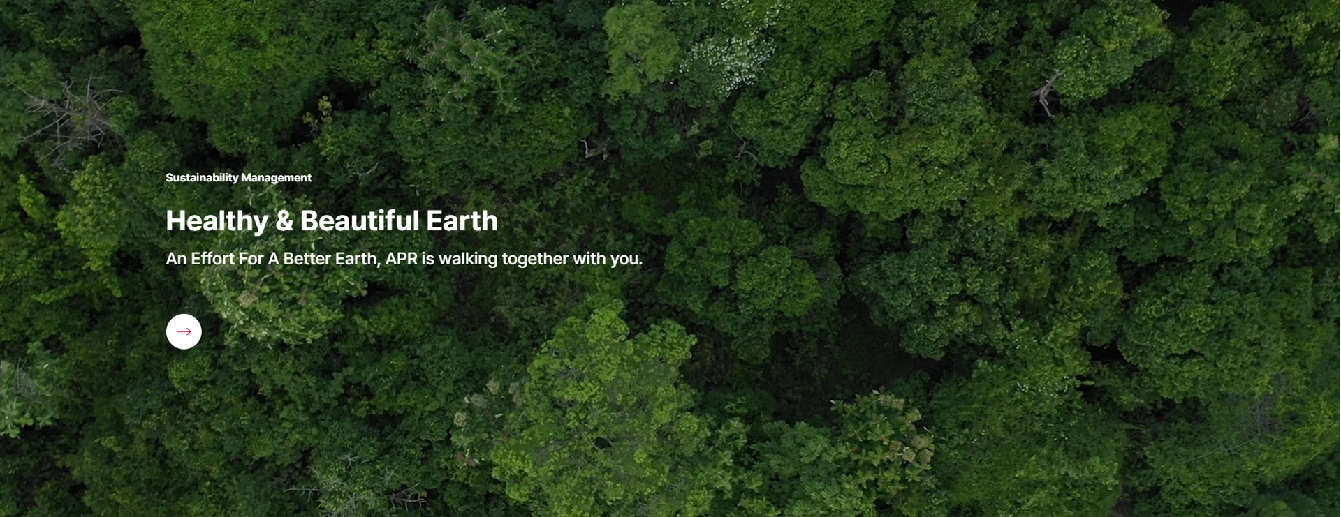 Company Overview - APR Co., Ltd.