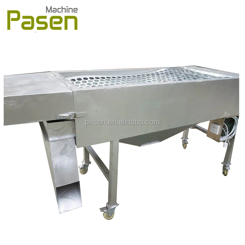 Stainless Steel Mushroom Sorting Machine - Efficient Grading
