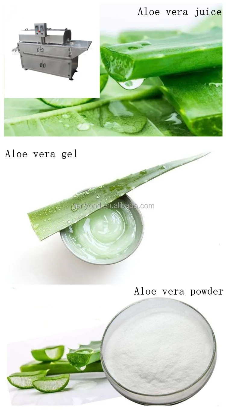 High Efficiency Aloe Vera Processing Machine - Genyond