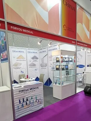 Company Overview - Huizhou Foryou Medical Devices Co., Ltd.