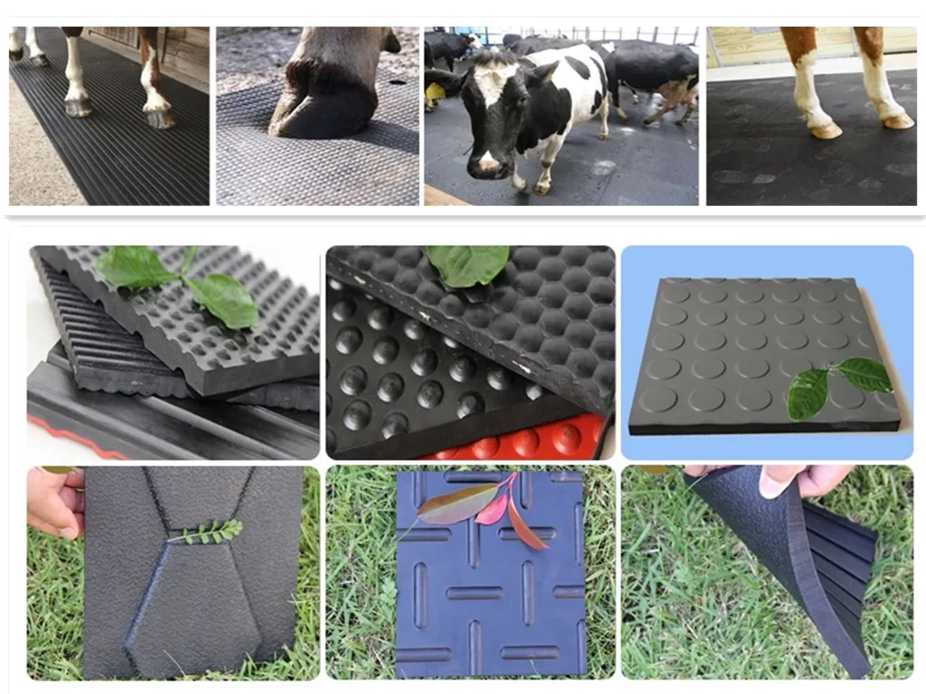 High Quality Mated Horse With Cow / Cow Horse Mating / Cow Mat - Buy ...