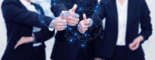 Company Overview - VITA SILICONE LIMITED