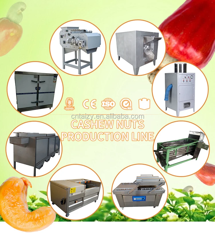 Full Automatic Cashew Nut Roasting Machine - 1 Year Warranty