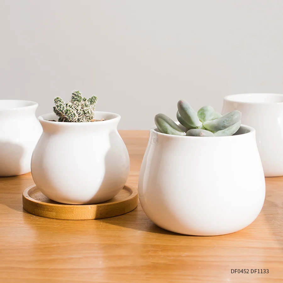 Custom Mini White Ceramic Flower Pots with Bamboo Tray