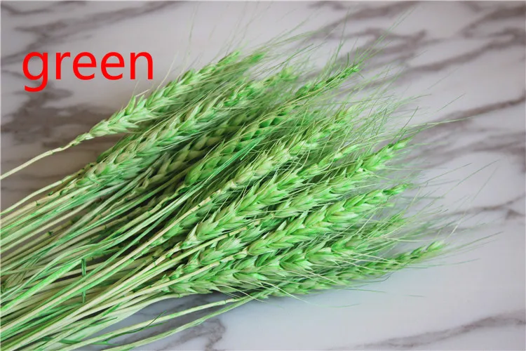 Pastoral Style Dried Wheat Flower Wreath for Home Decor