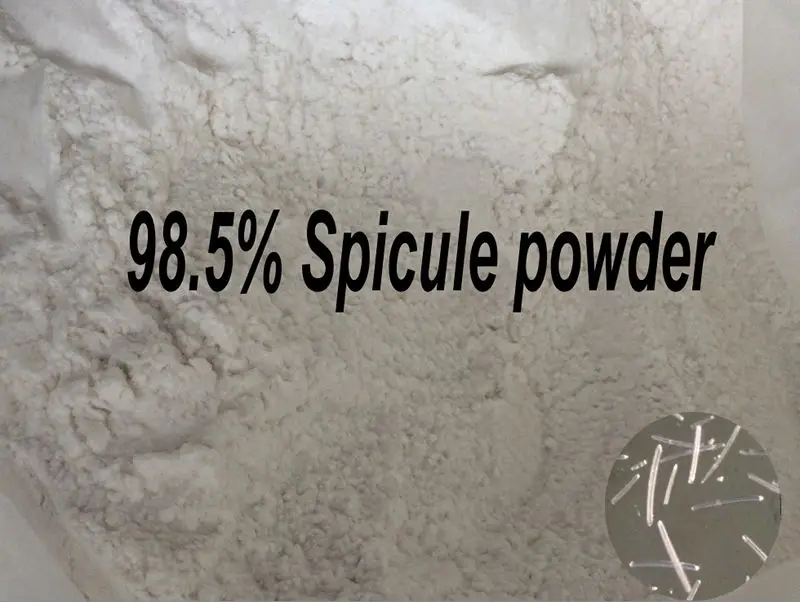 High Quality Japanese Cosmetics with Spongilla Powder