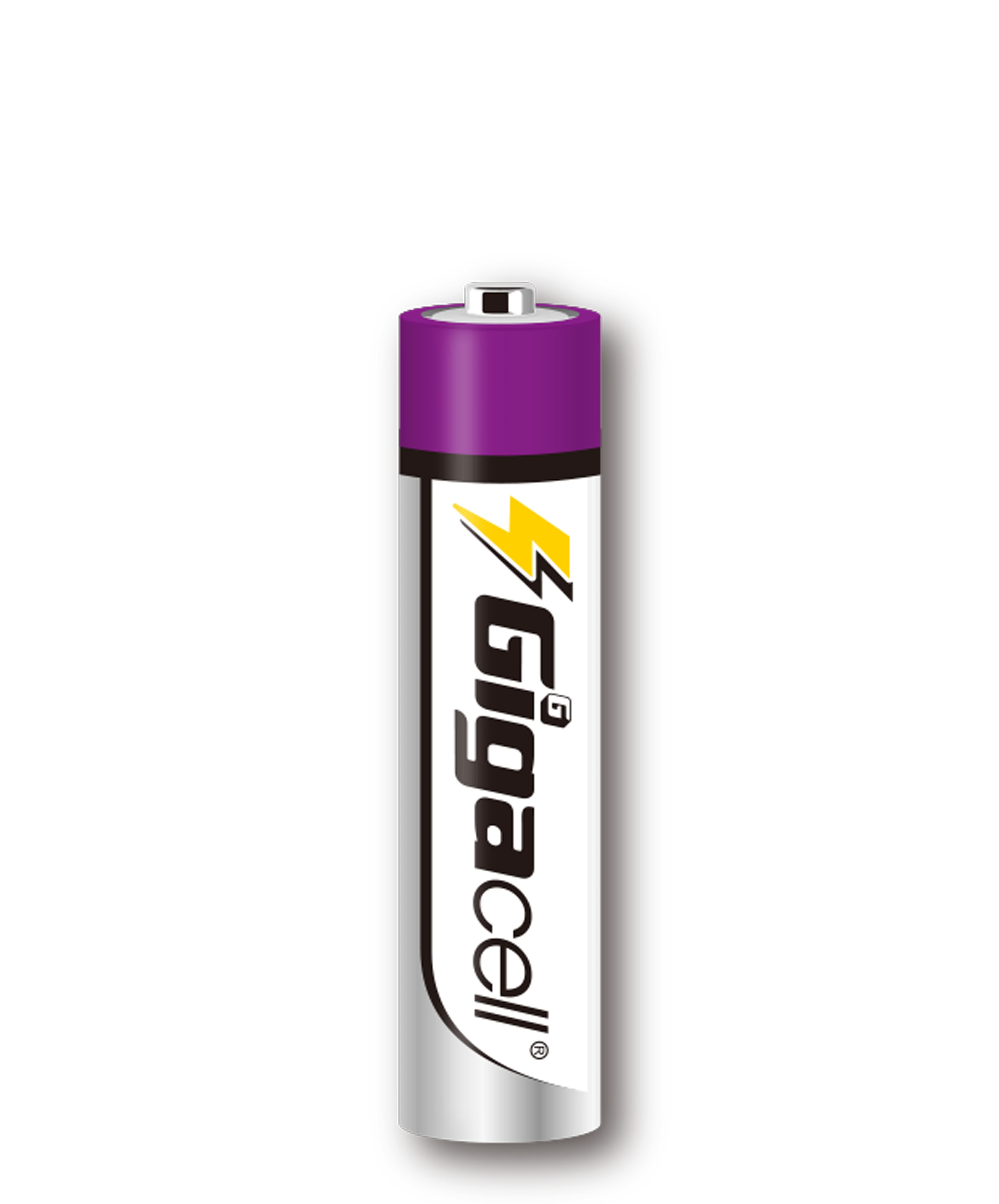 Company Overview - Ningbo Gigacell Electronics Co., Ltd.