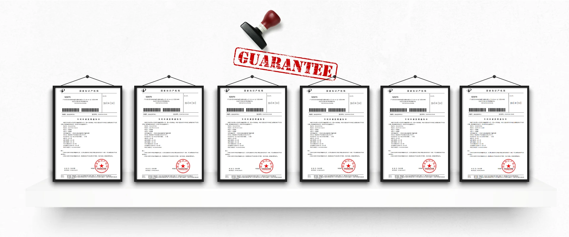 Company Overview - Jiangxi Aoyu Technology Co., Ltd.