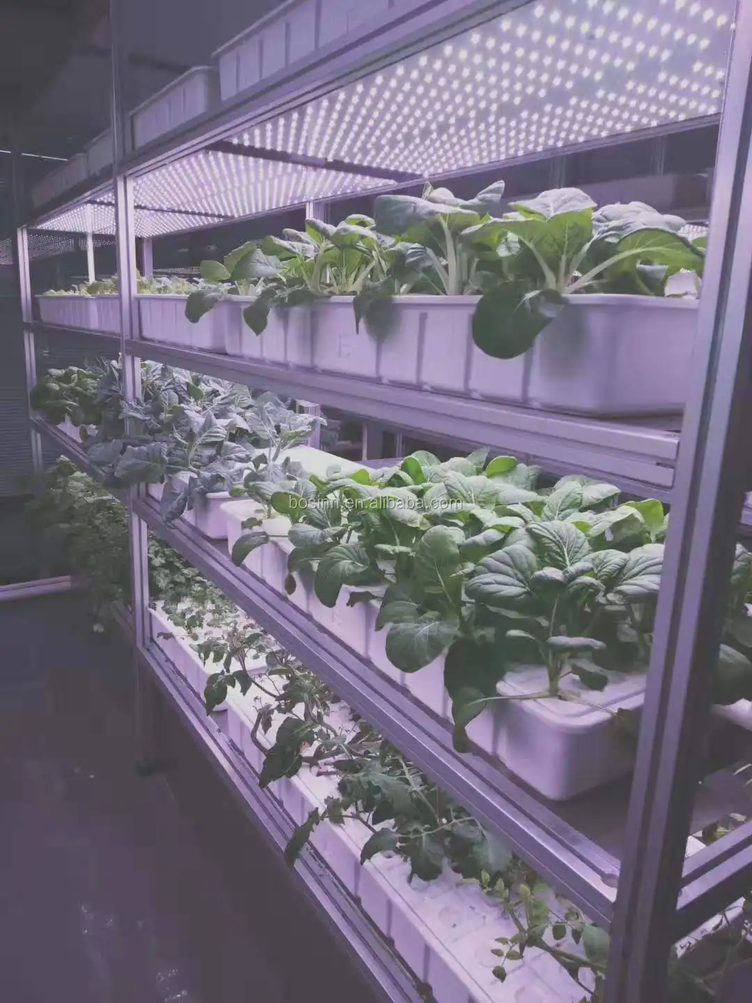 Ecosystem Vertical Hydroponic System with Grow Lights & Sensors ...