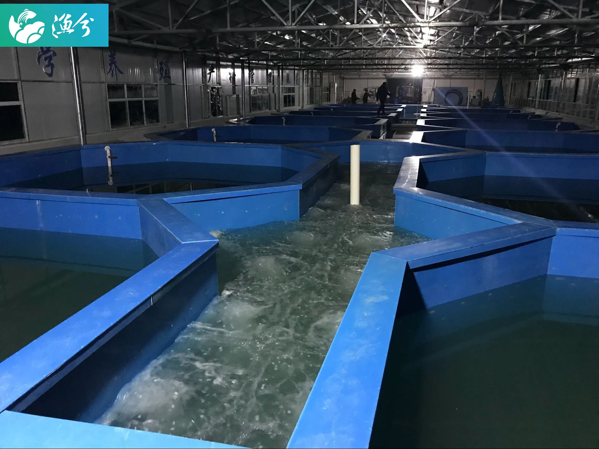 Superior Quality Fish Farm Aquaculture System 500 Square Meters ...