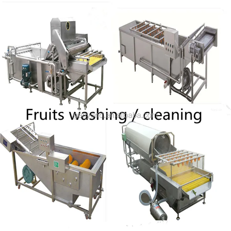 Efficient Mango Slicing Machine by Genyond - High Capacity