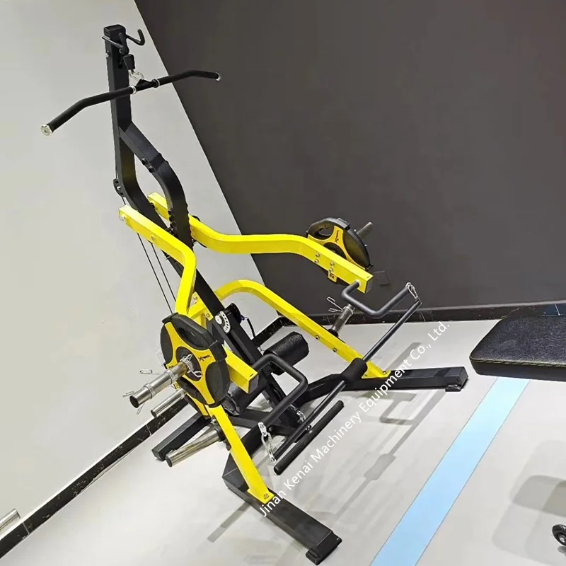 Powertec Workbench Models - Comprehensive Fitness Solutions