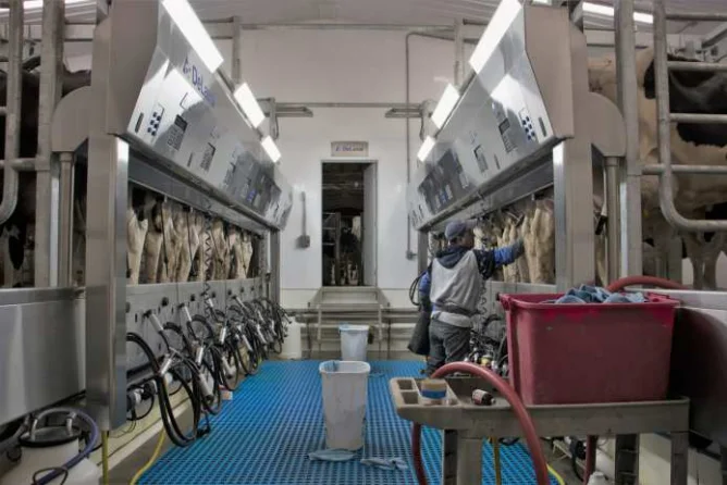 Dali 0-10v Dimmable Dairy Barn Led Lights For Milking Room - Buy Dairy ...