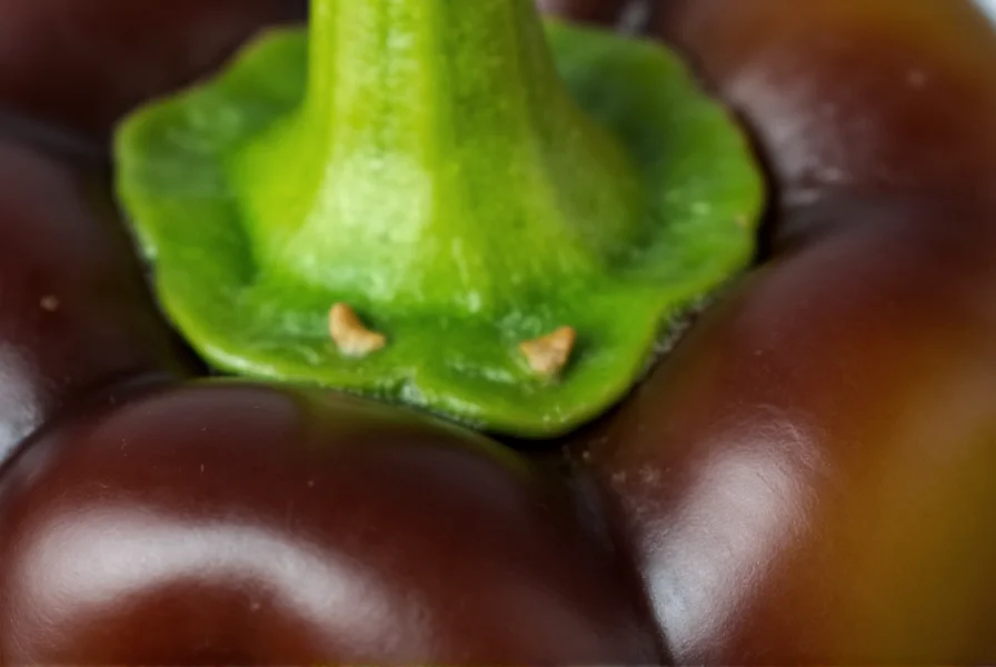 Chocolate Beauty Pepper Maturity: 70-80 Days to Chocolate-Brown Stage