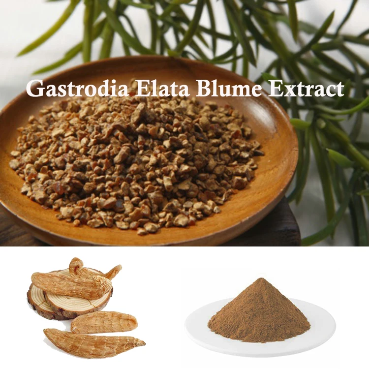 Hongda Supply Gastrodia Elata Blume Extract Gastrodia Elata Extract ...